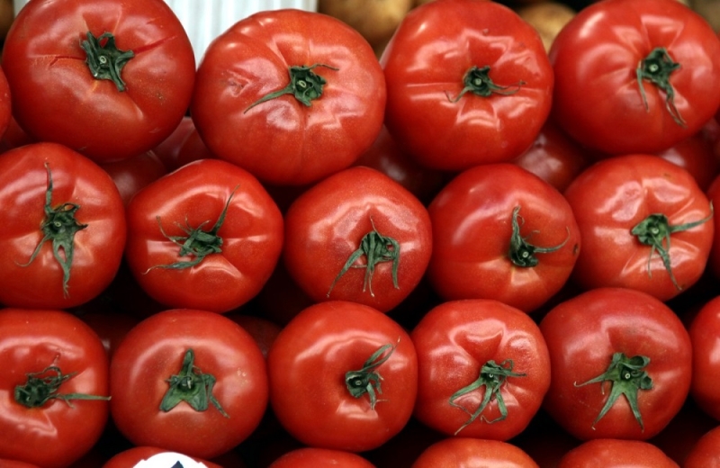 The first genetically modified tomatoes to produce extra vitamin D were ...